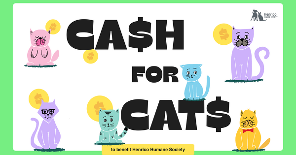 Cash for Cats